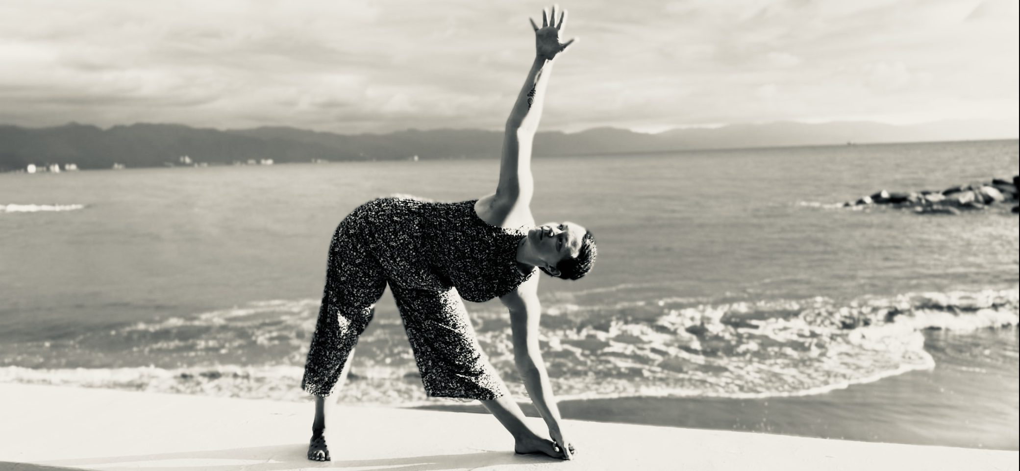 It Begins! Online classes are in the Books ᐞ･ﾟ – Heather Ralston